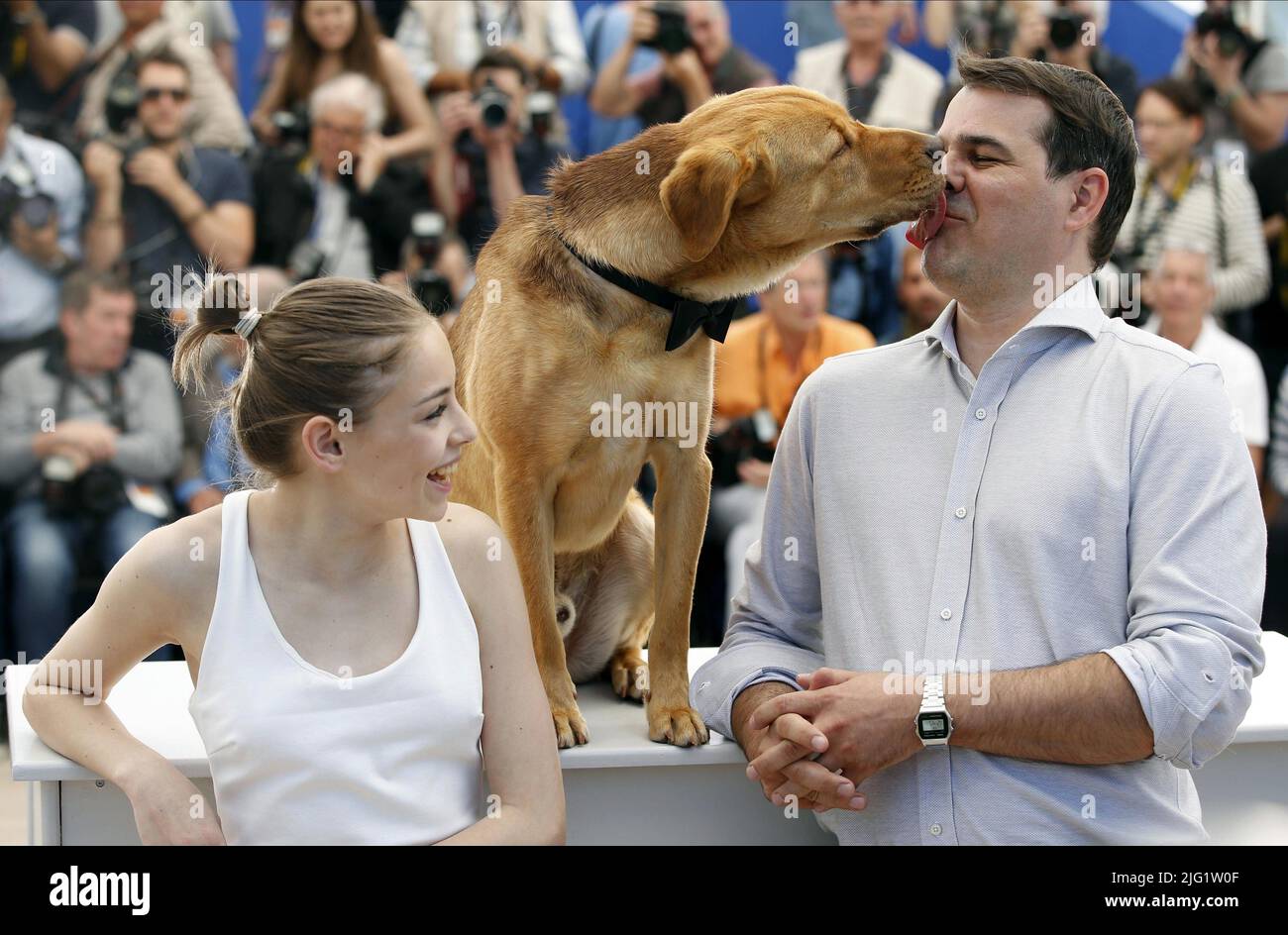 Zsofia psotta kornel mundruczo white god hi-res stock photography and ...