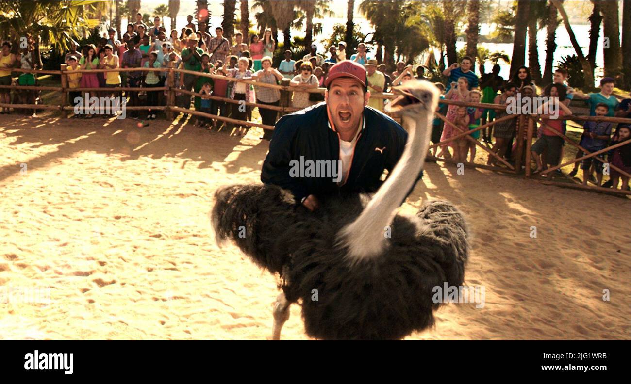 SANDLER,OSTRICH, BLENDED, 2014 Stock Photo - Alamy