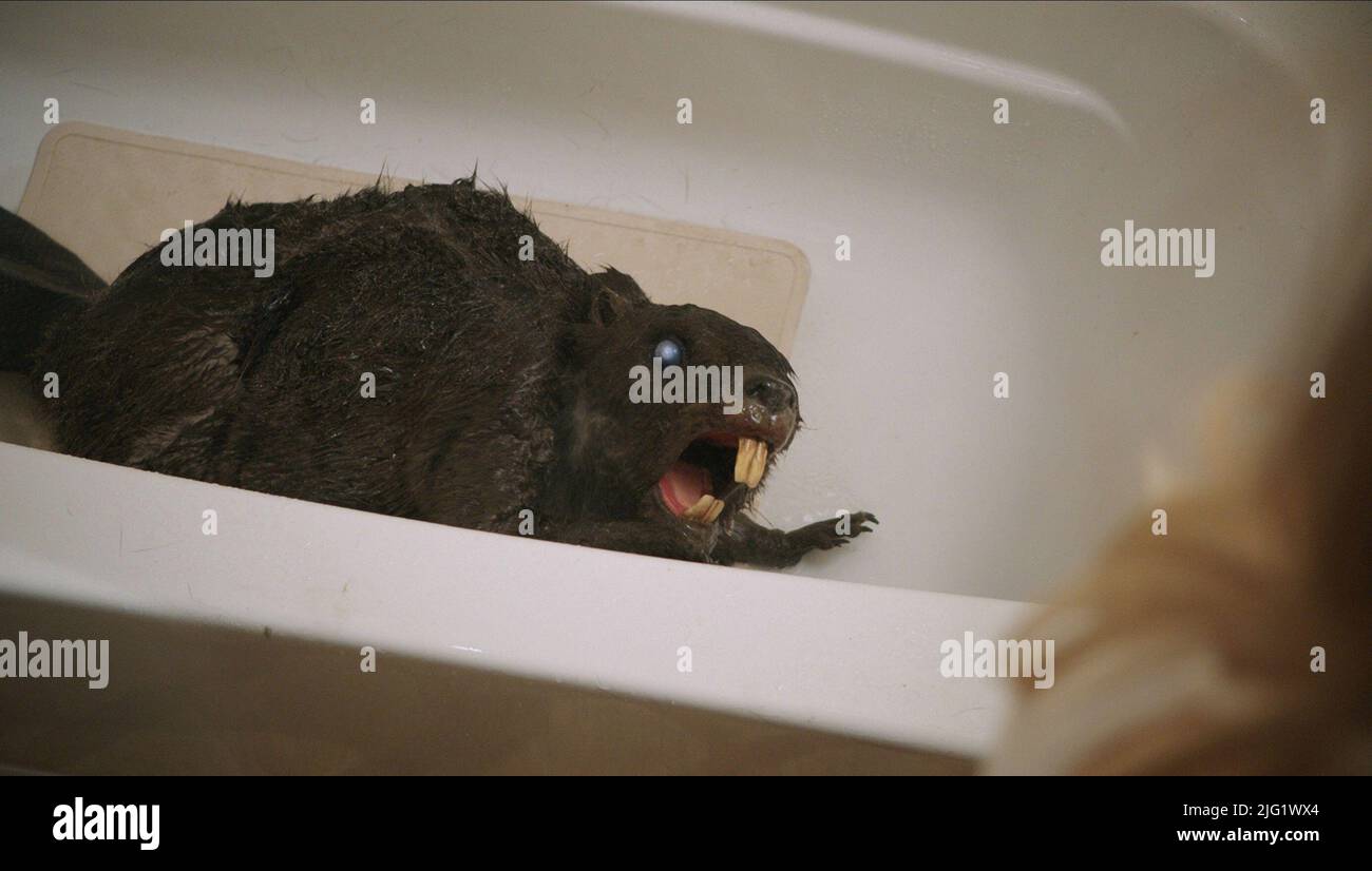 BEAVER IN BATH, ZOMBEAVERS, 2014 Stock Photo - Alamy