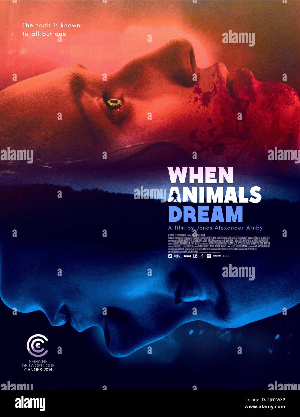 MOVIE POSTER, WHEN ANIMALS DREAM, 2014 Stock Photo - Alamy