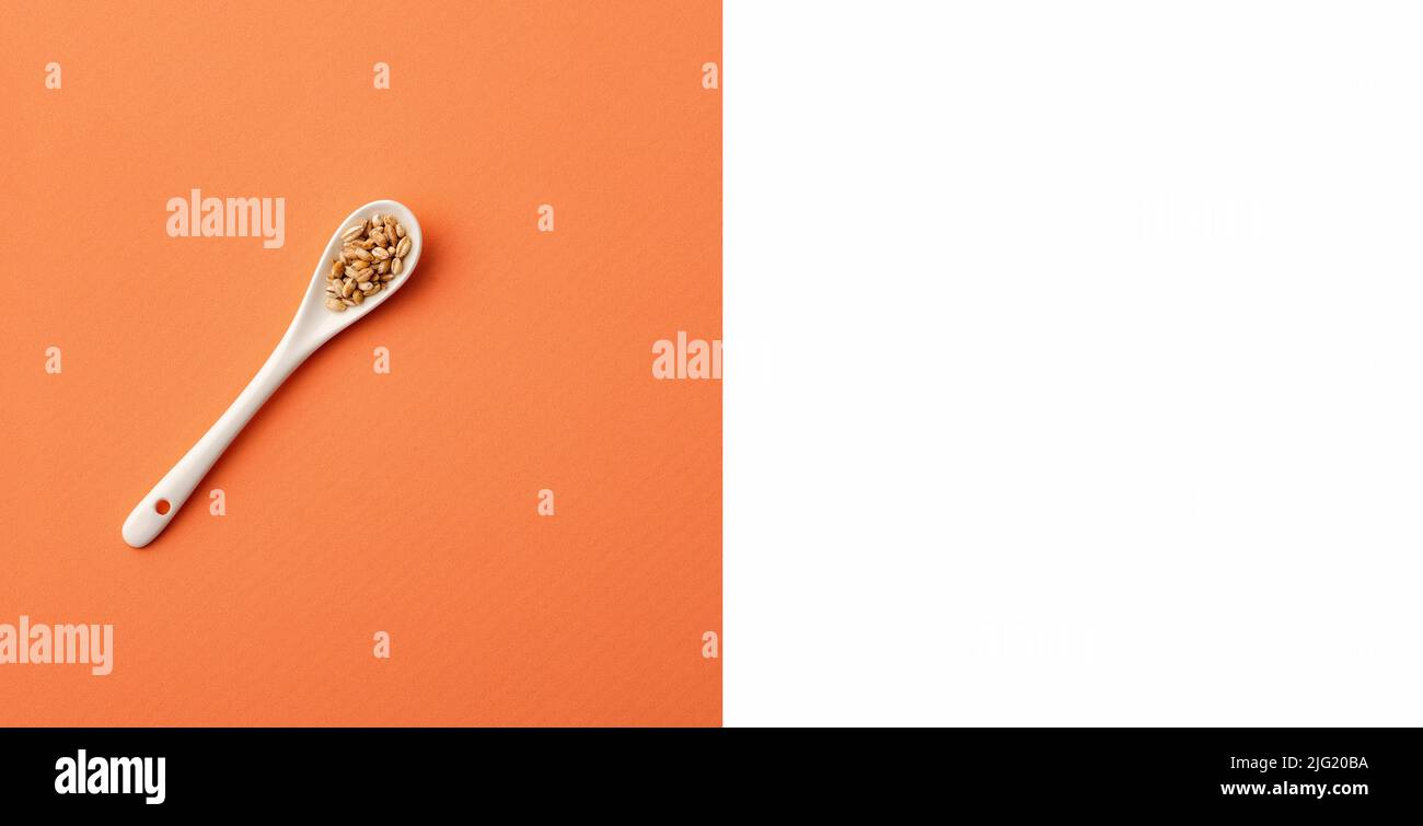 Hordeum vulgare - Raw organic pearl barley in the spoon Stock Photo - Alamy