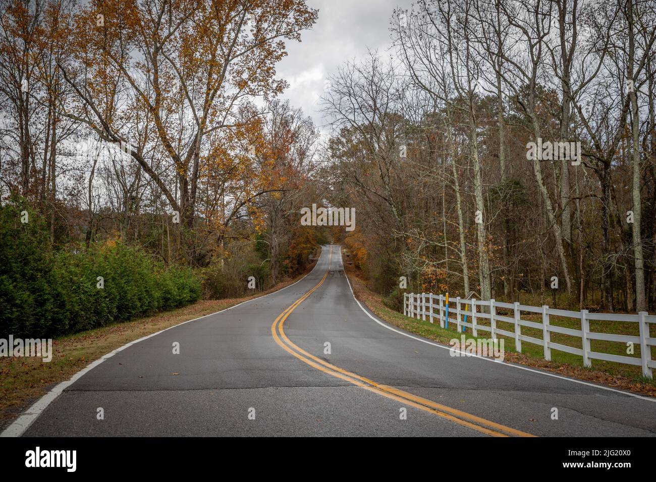 Tennessee Tree Tunnel Stock Photo - Alamy