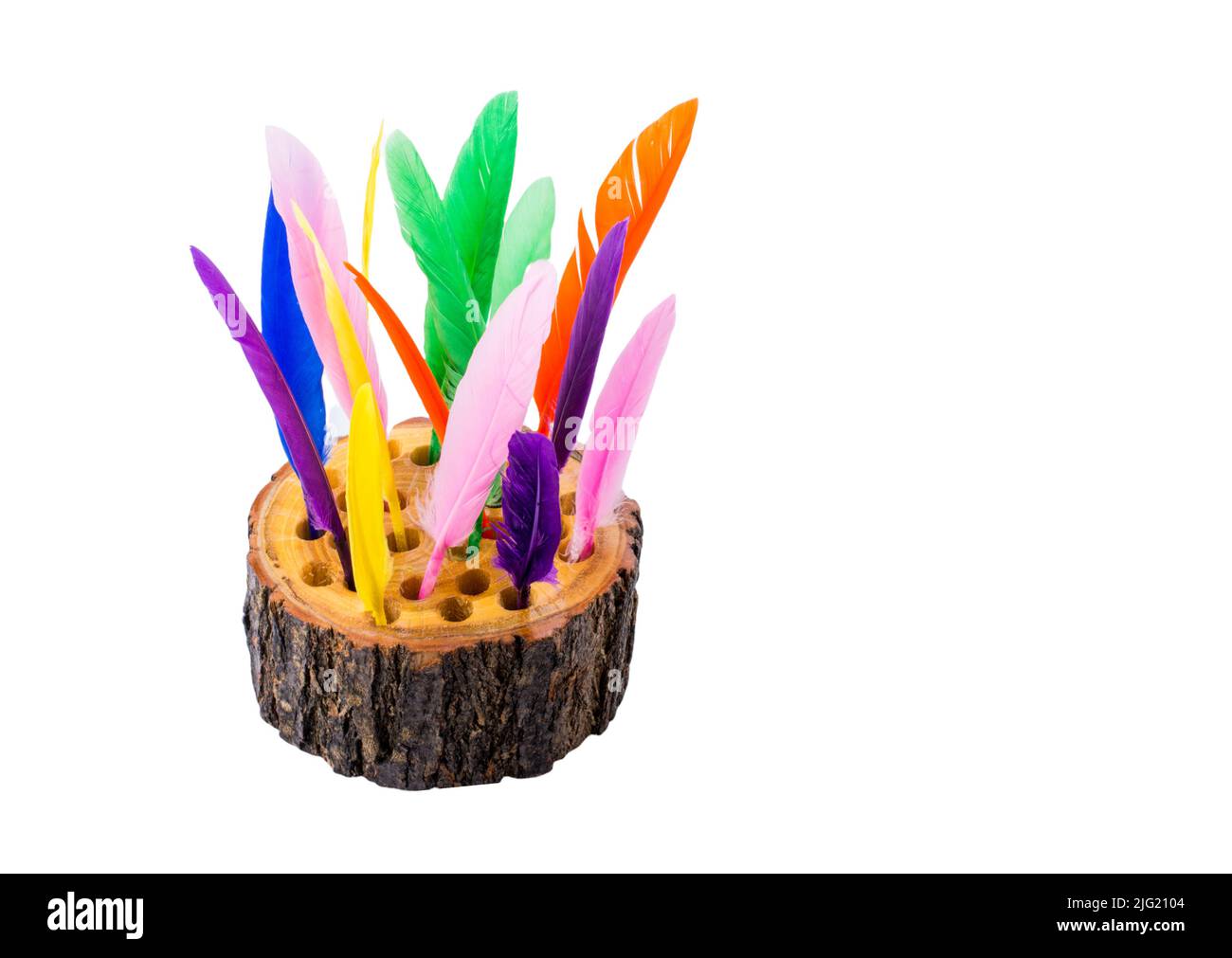 Feathers isolated elements set. Colorful bright bird feathers from ...