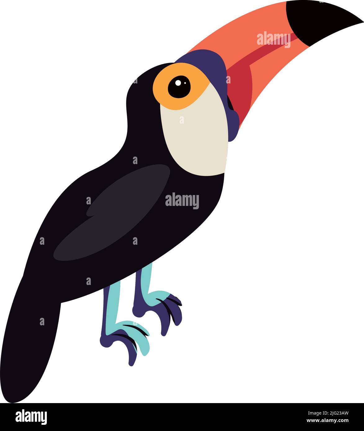 flat cute toucan Stock Vector Image & Art - Alamy