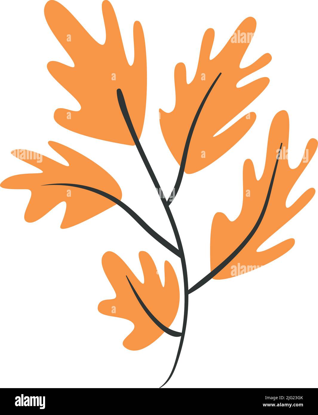 flat dry plant design Stock Vector Image & Art - Alamy