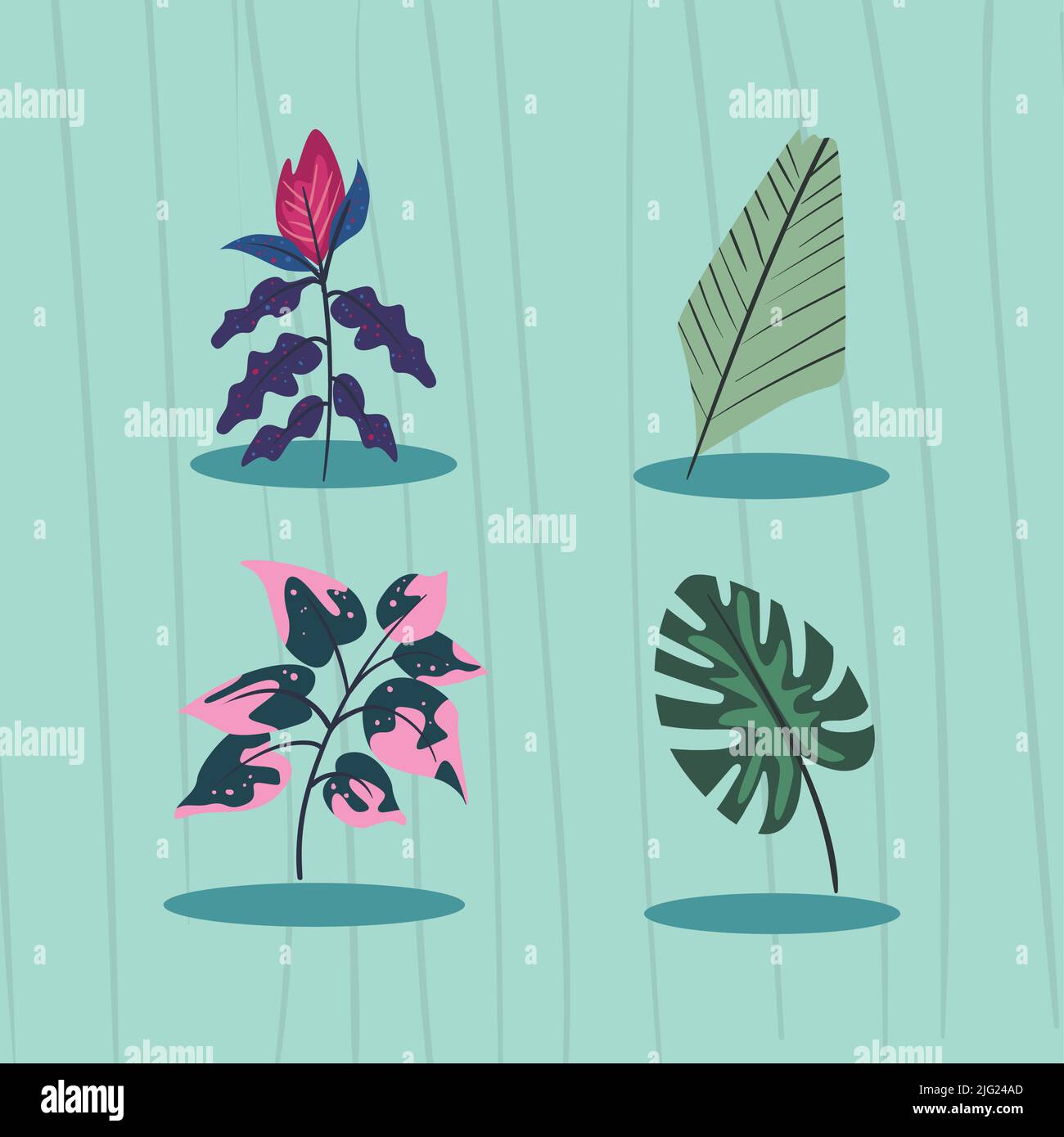 four flat plants Stock Vector Image & Art - Alamy