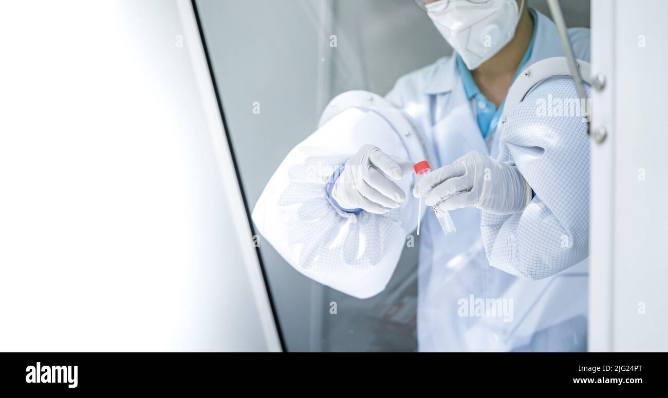 Hands of medical personnel holding a nasal swab ATK is collecting germs ...