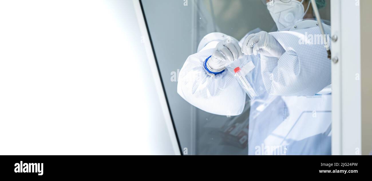 Hands of medical personnel holding a nasal swab ATK is collecting germs ...