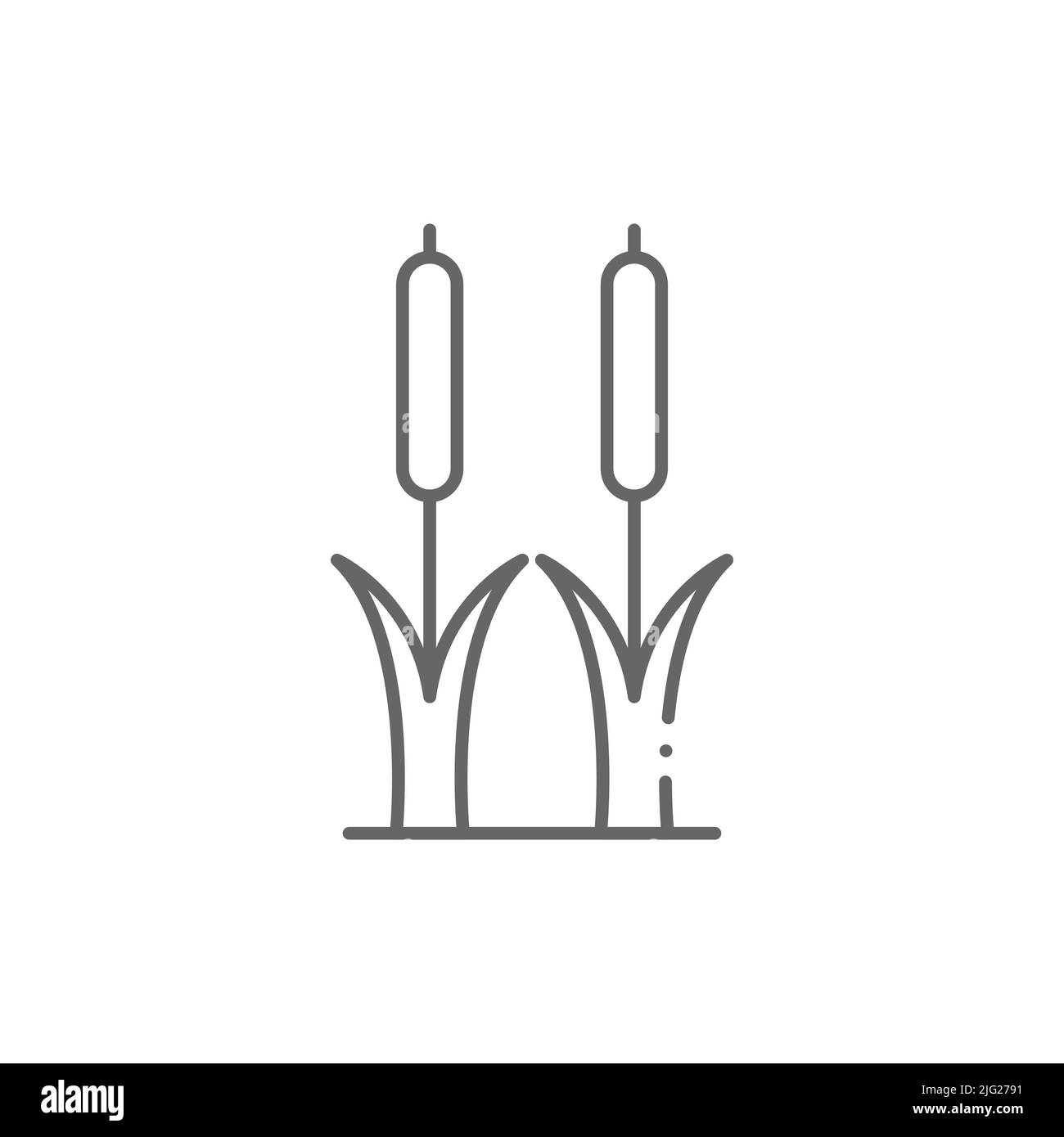 Reeds plant outline icon. linear style sign for mobile concept and web ...