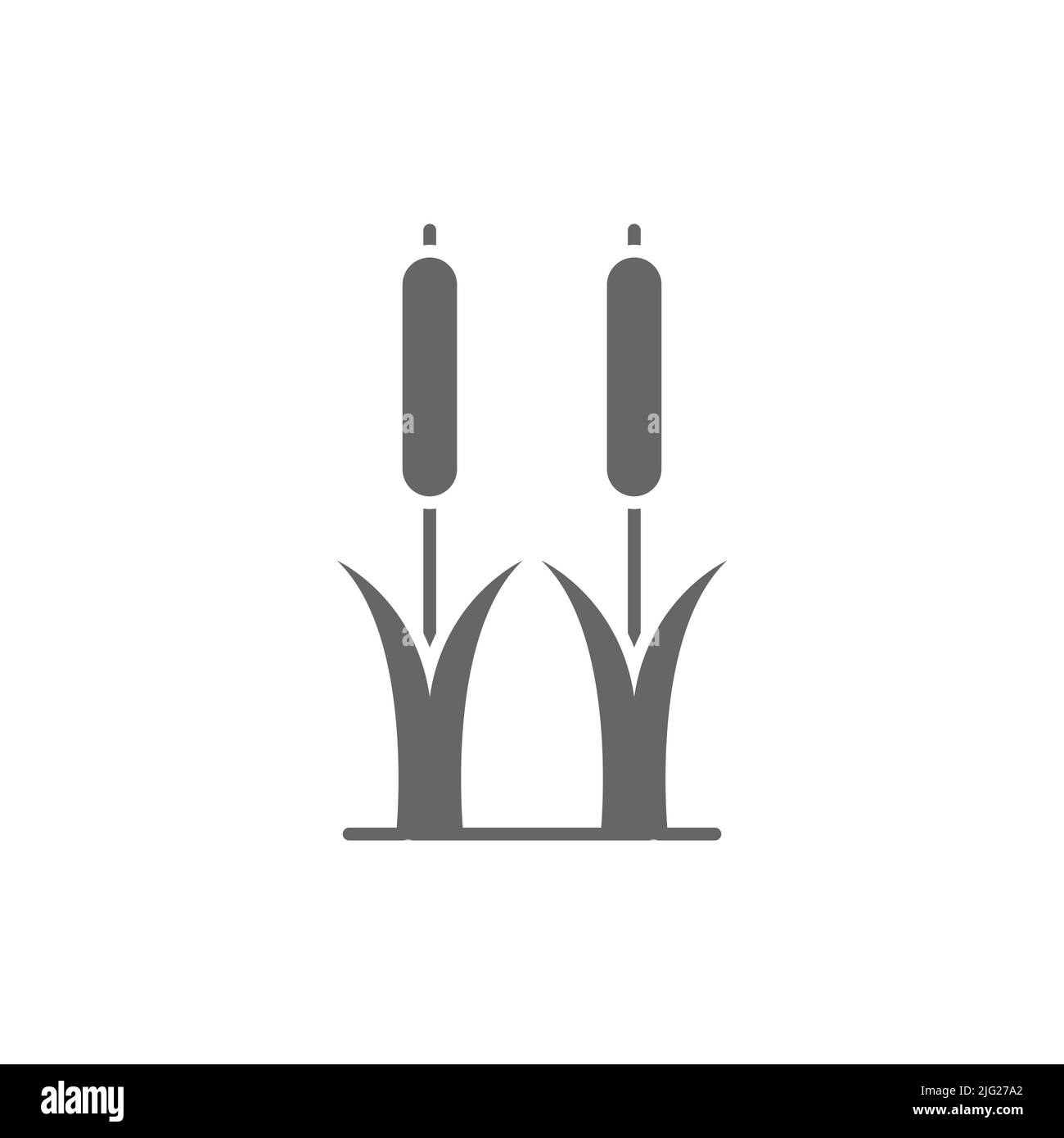 Reeds plant glyph icon. linear style sign for mobile concept and web ...