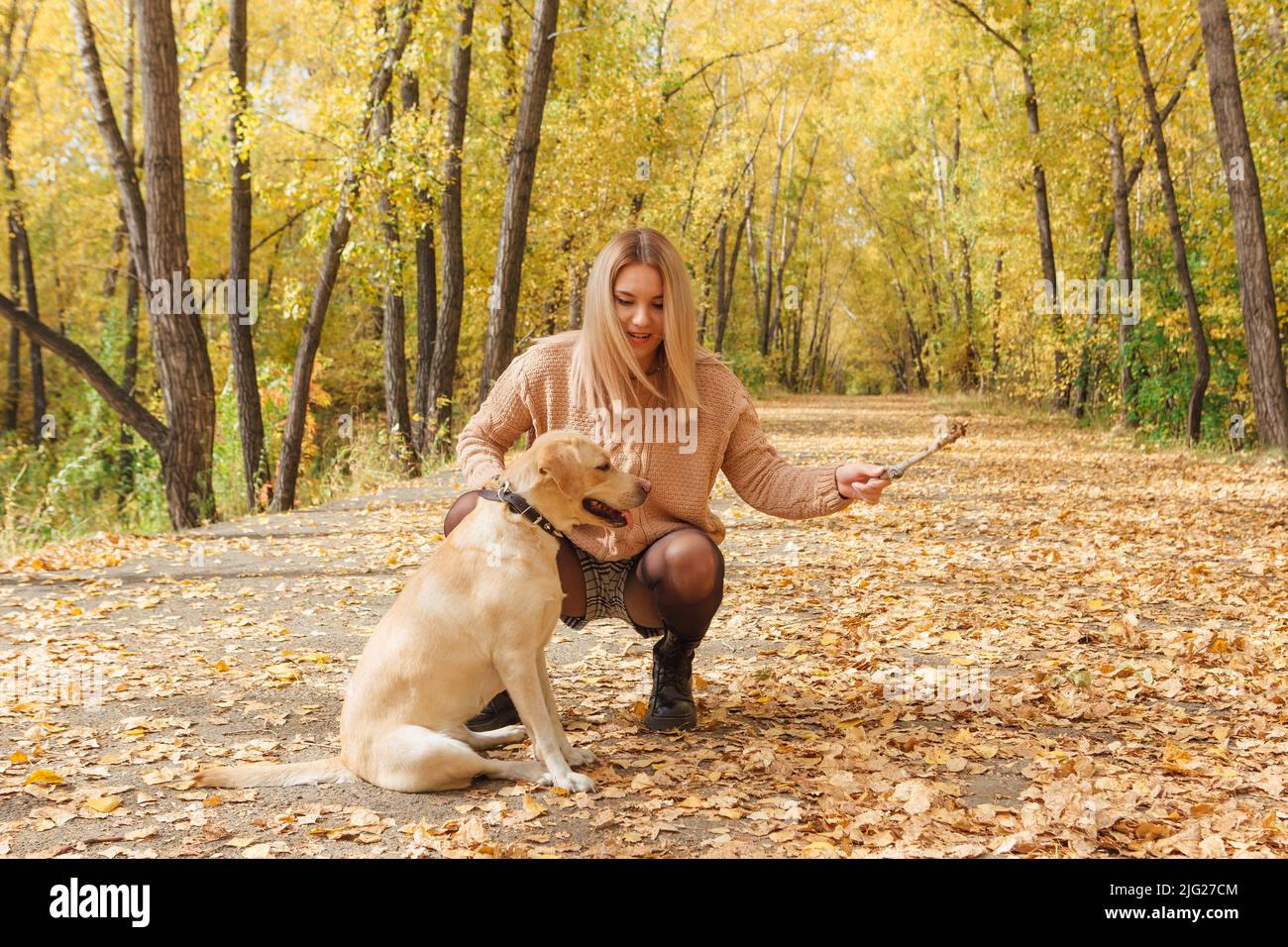 Young beautigul caucasian woman walking with her beloved labrador dog ...