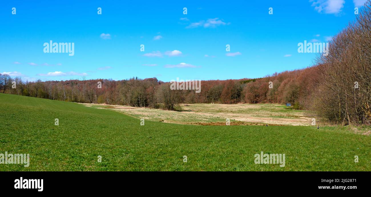 Scenic landscape of trees growing in a remote uncultivated forest in ...