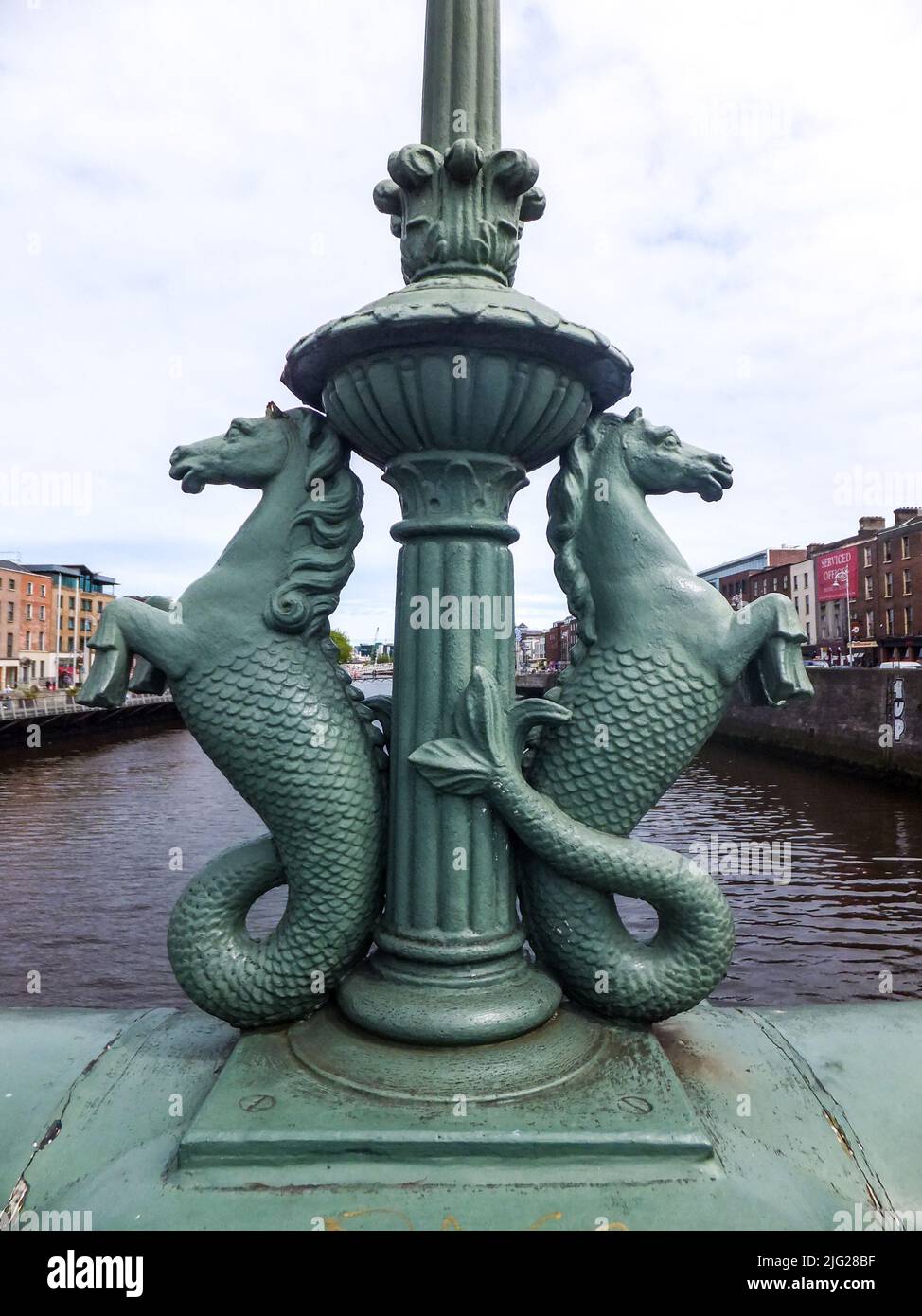 The Creature Hub Irl