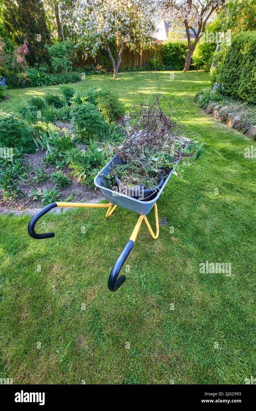 Well maintained tree hi-res stock photography and images - Alamy