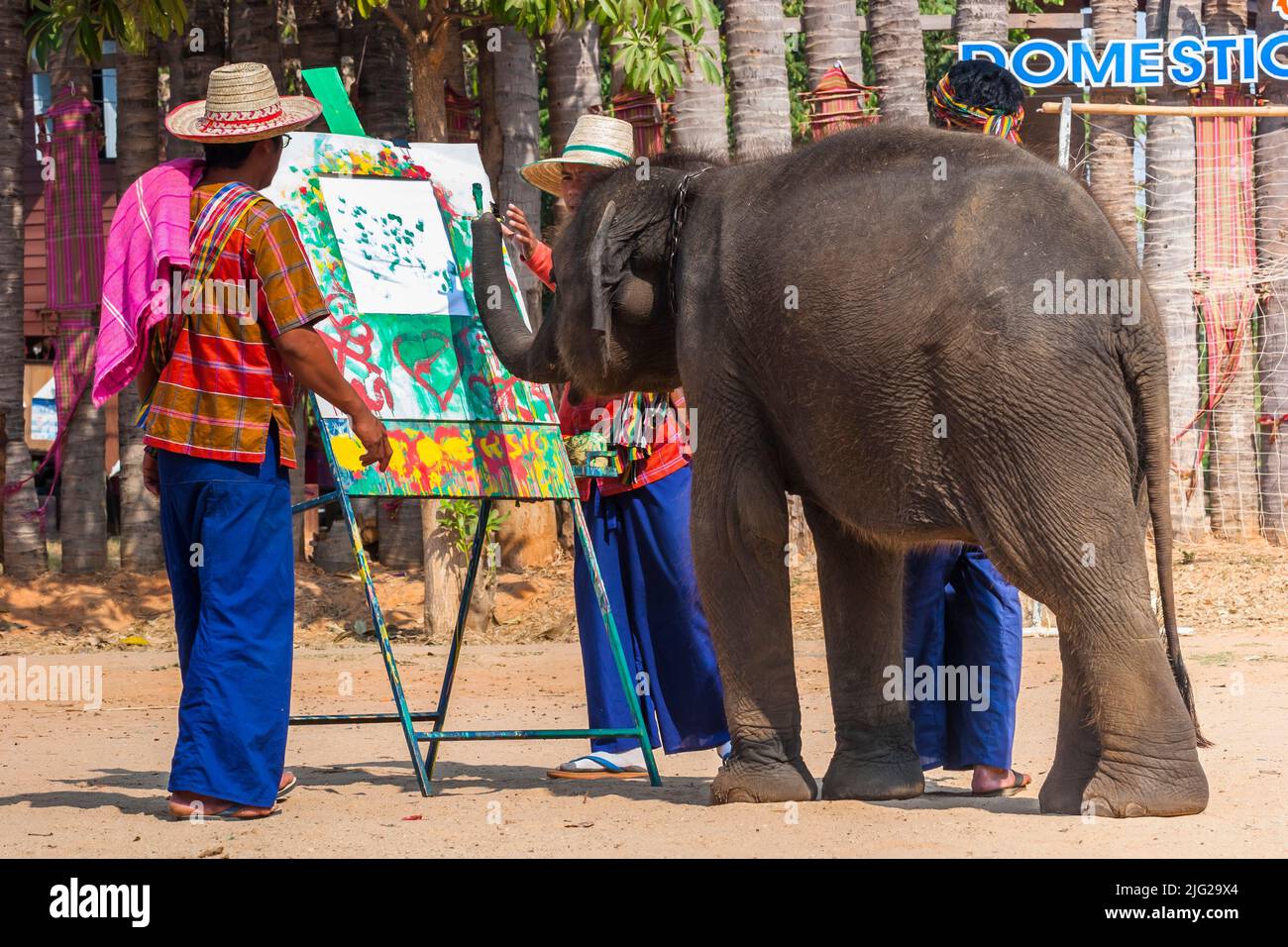 Elephant village, elephant show, painting, performance, Surin, Isan ...