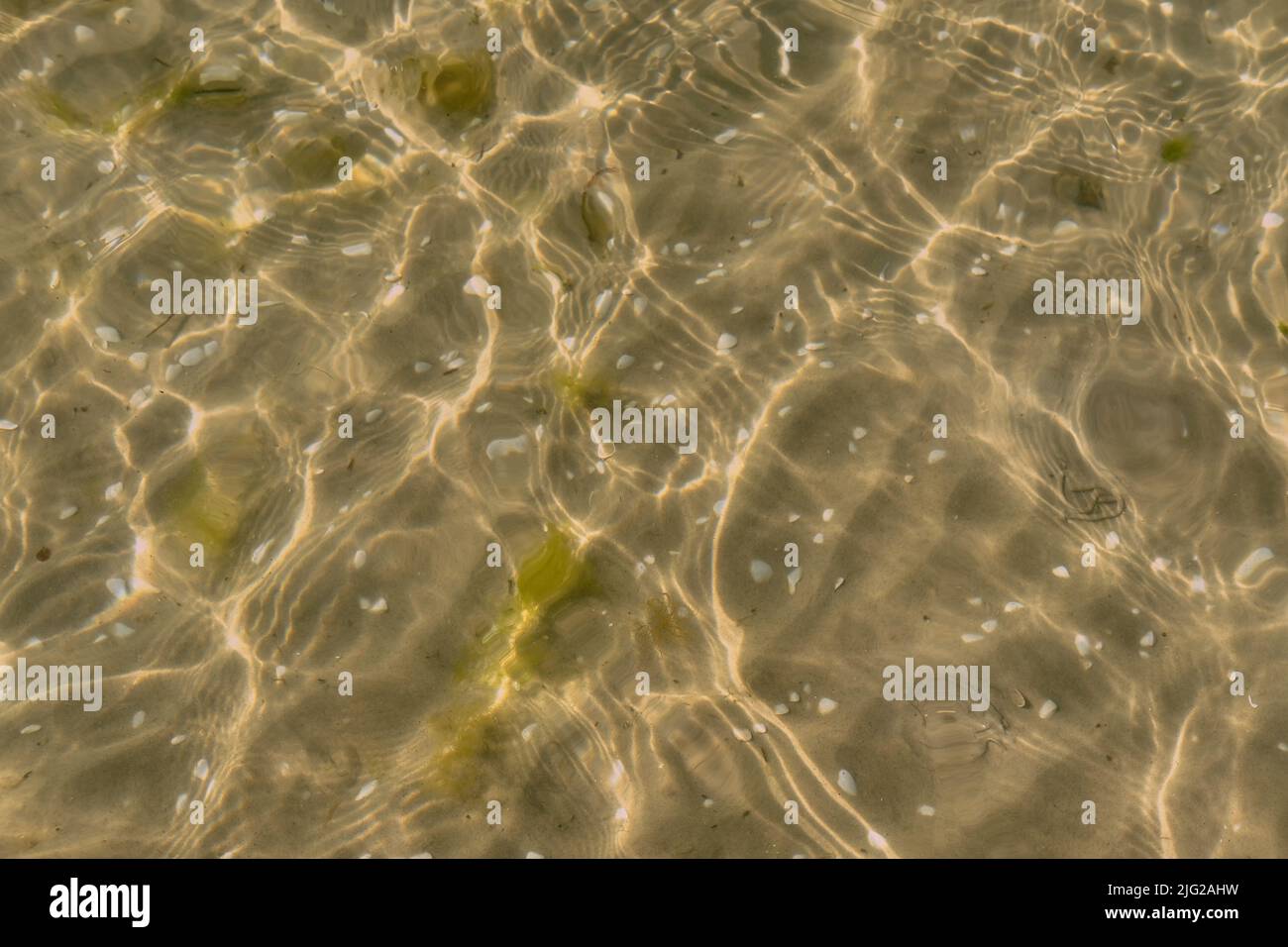 Close Up Water In Ponds