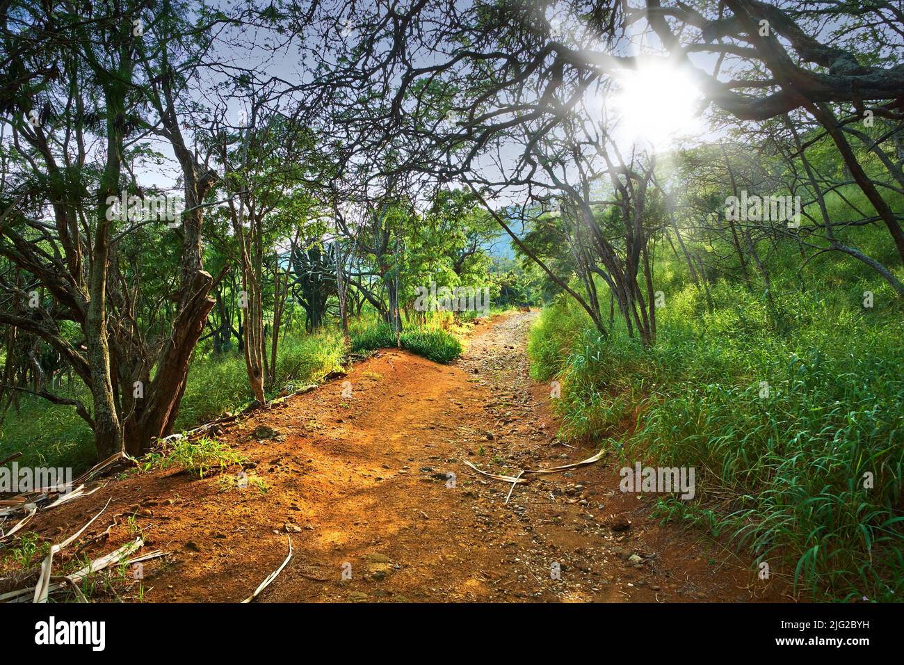 Soothing backgrounds hi-res stock photography and images - Alamy