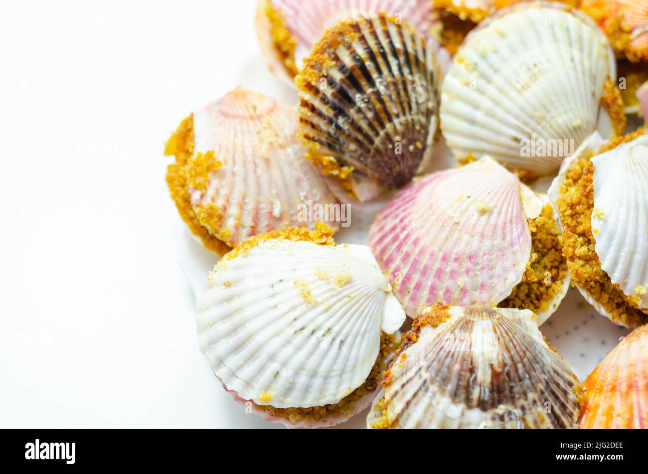 Mini coquilles St. Jacques, Natural scallop shells filled with ...
