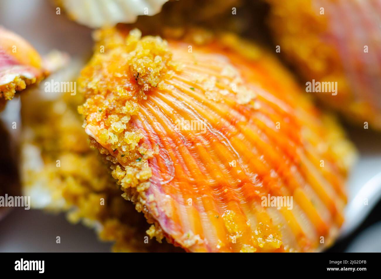 Mini coquilles St. Jacques, Natural scallop shells filled with ...