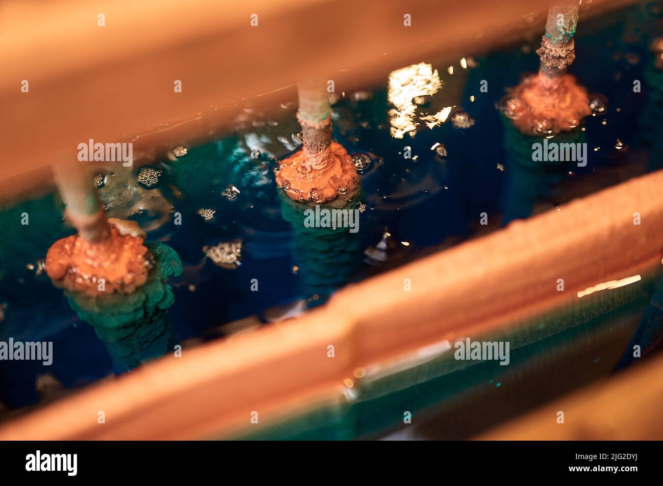 Metal cathodes covered with overgrowth copper powder Stock Photo - Alamy