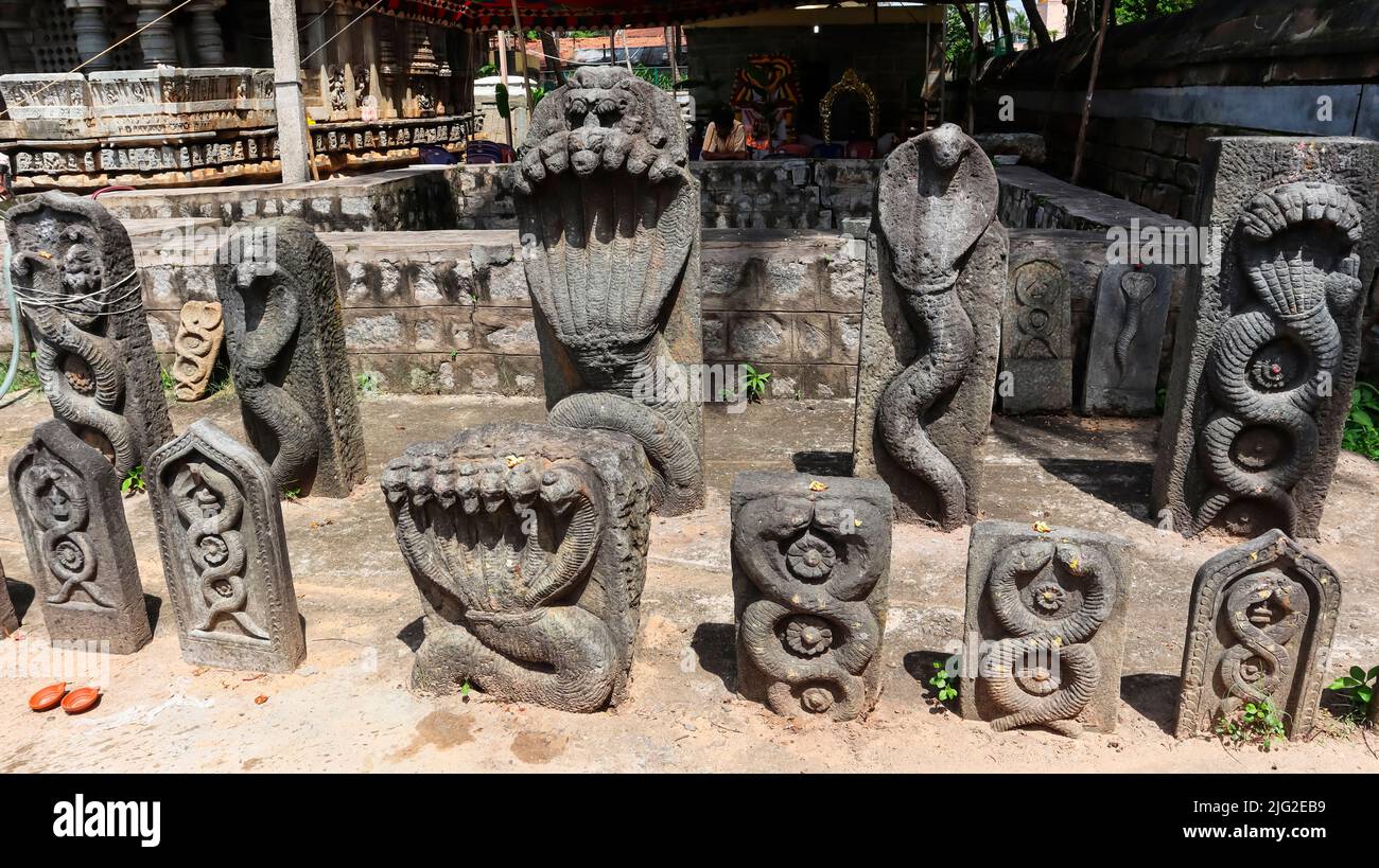 Sculpture of Nagas or snake gods in the campus of Brahmeshwara Temple ...