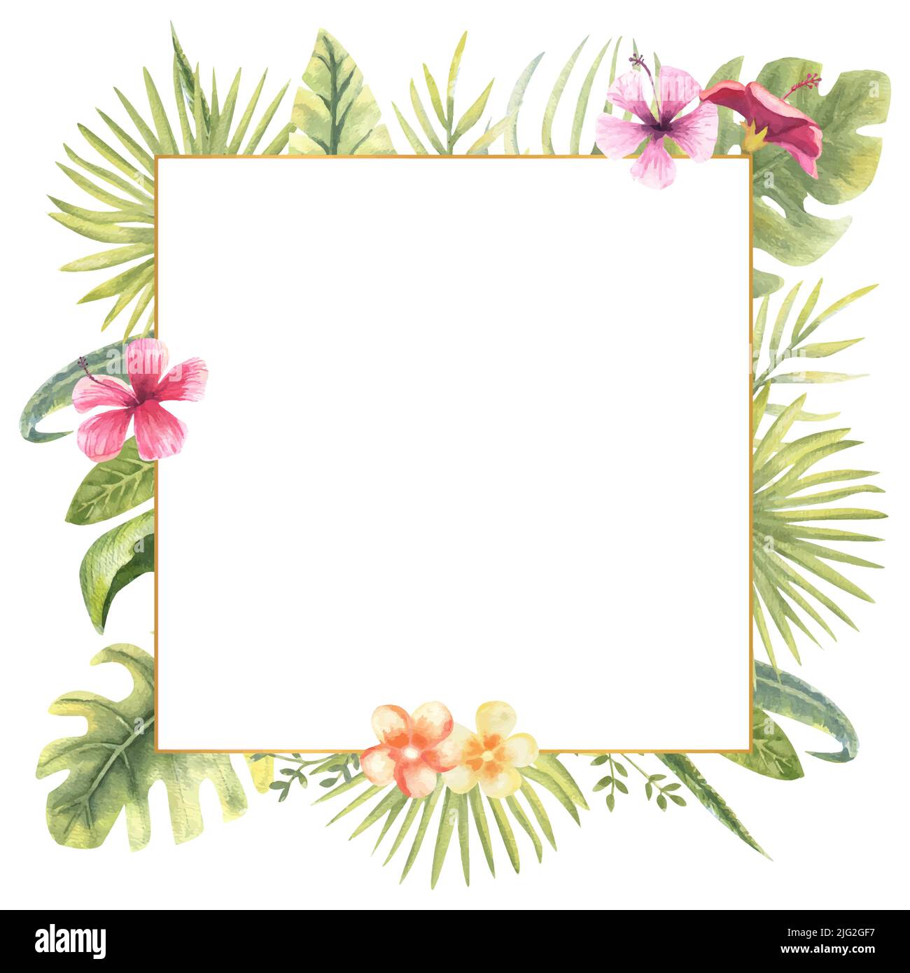 Vector illustration of a square frame with tropical plants. Monster ...