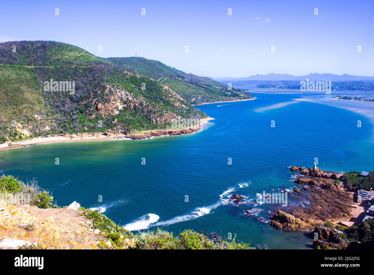 Tropical wallpaper hi-res stock photography and images - Alamy