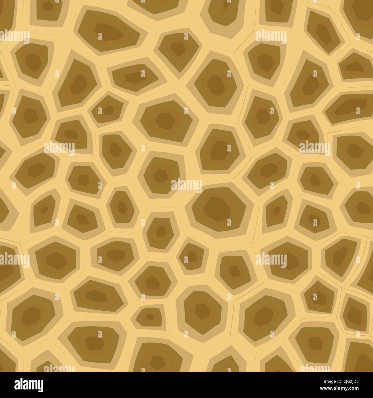 Abstract modern turtle shell seamless pattern. Animals trendy ...