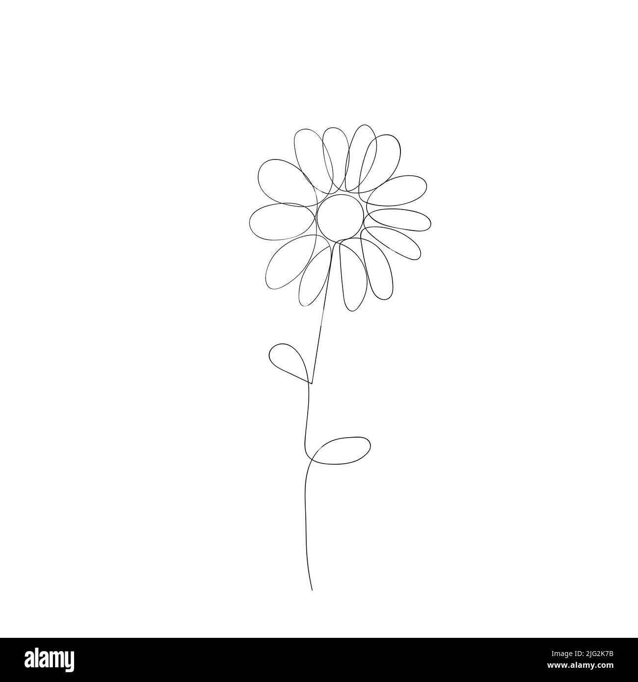Floral silhouette art line. Flowers in continuous line drawing style ...