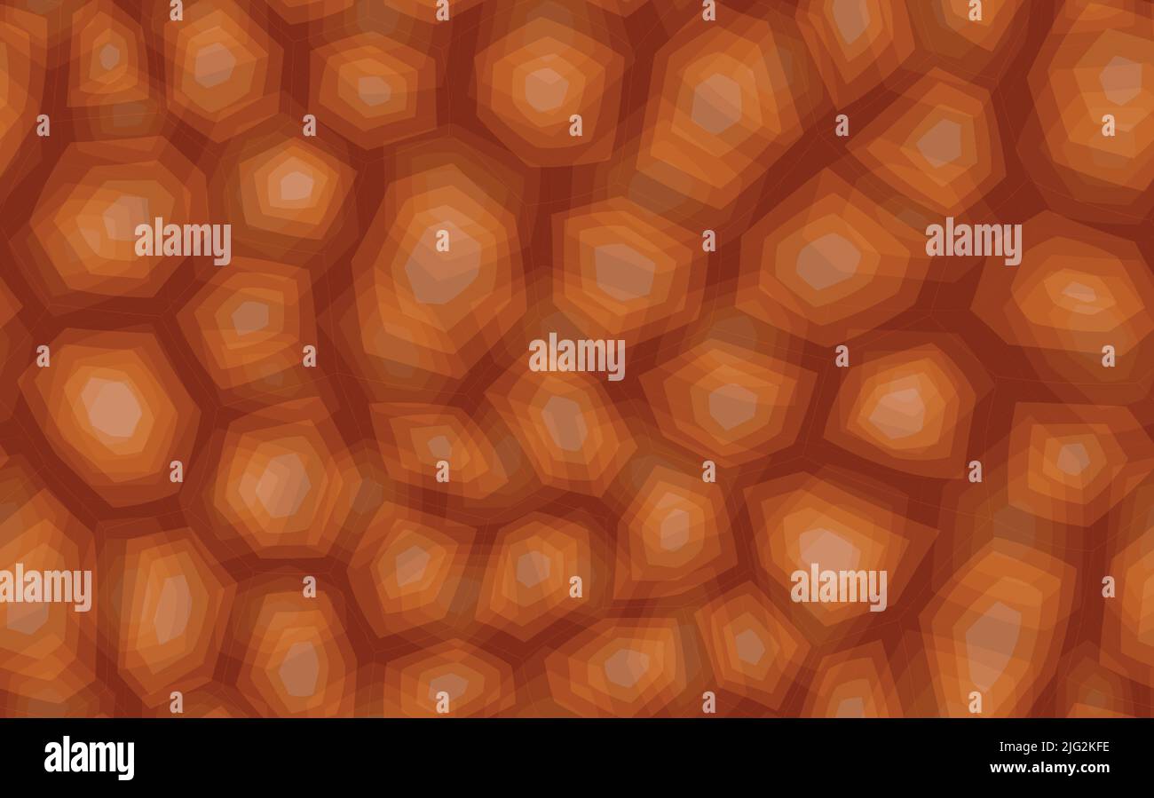 Abstract modern turtle shell seamless pattern. Animals trendy ...