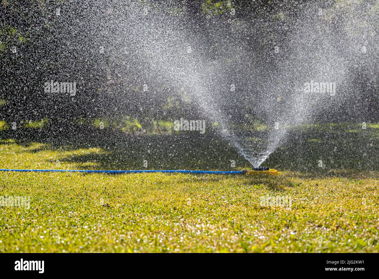 Watering system house hi-res stock photography and images - Alamy