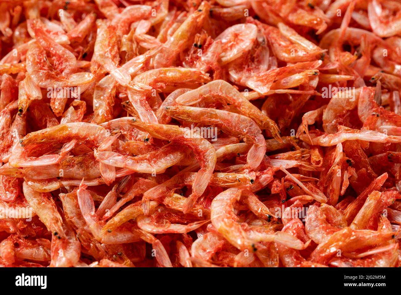 Dried sakura shrimps throughout the screen. Image of Japanese food ...