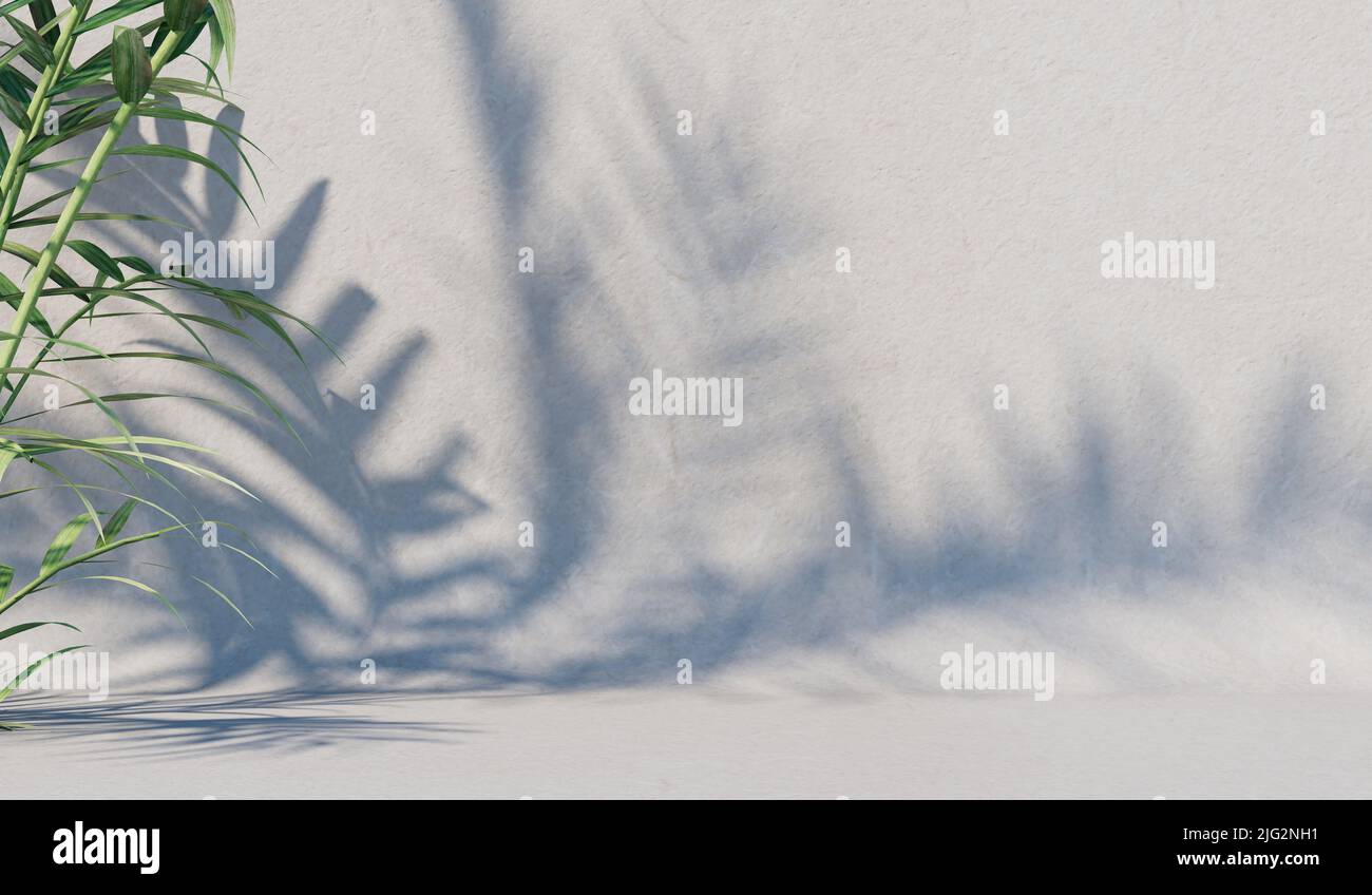 Background with a shadow from a bush on the wall. Cover, postcard. 3D ...