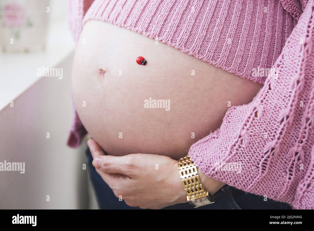 belly of a pregnant girl with a ladybug Stock Photo - Alamy