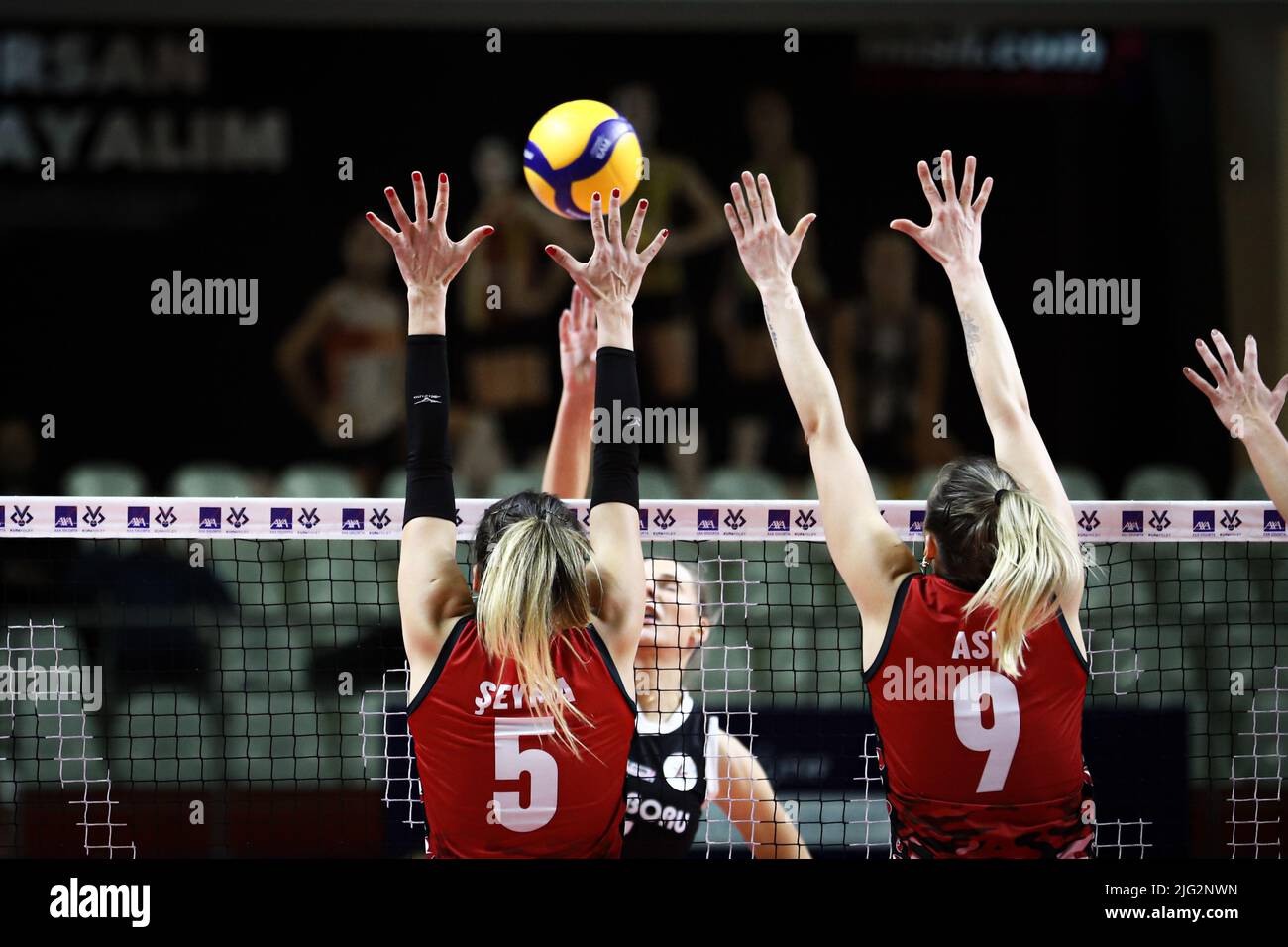 Seyma ercan hi-res stock photography and images - Alamy