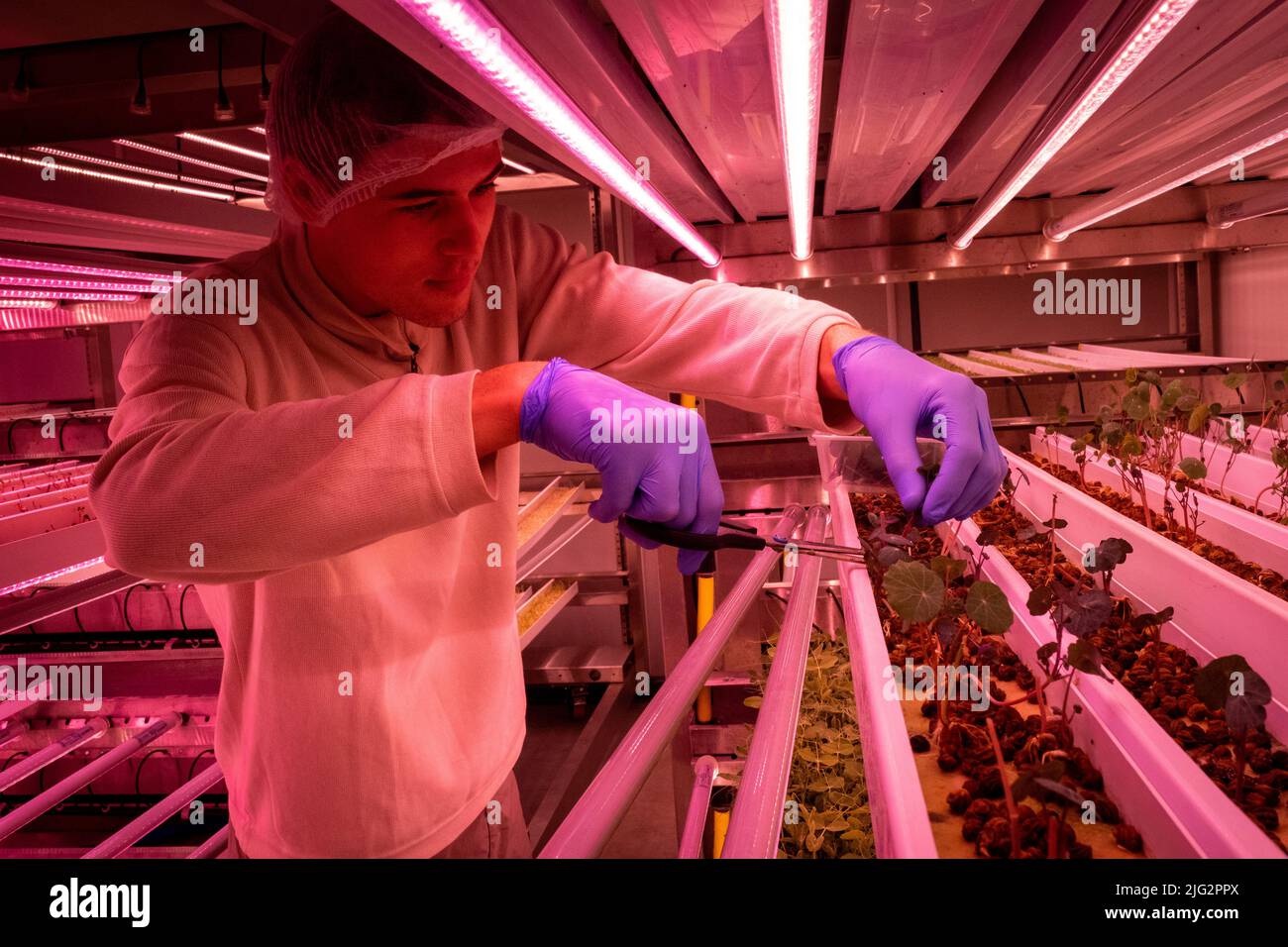 Netherlands, Amsterdam on 2021-07-13. Report on shared gardens and ...