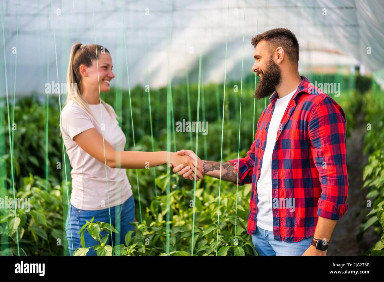 Organic greenhouse business. Family farmers are standing in their bell ...