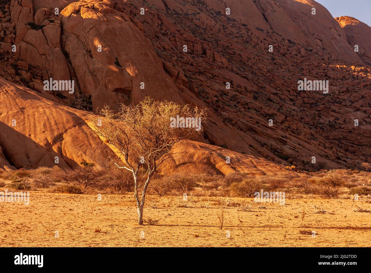 Impression of the Rocky Namibian Desert near Spitzkoppe during the ...