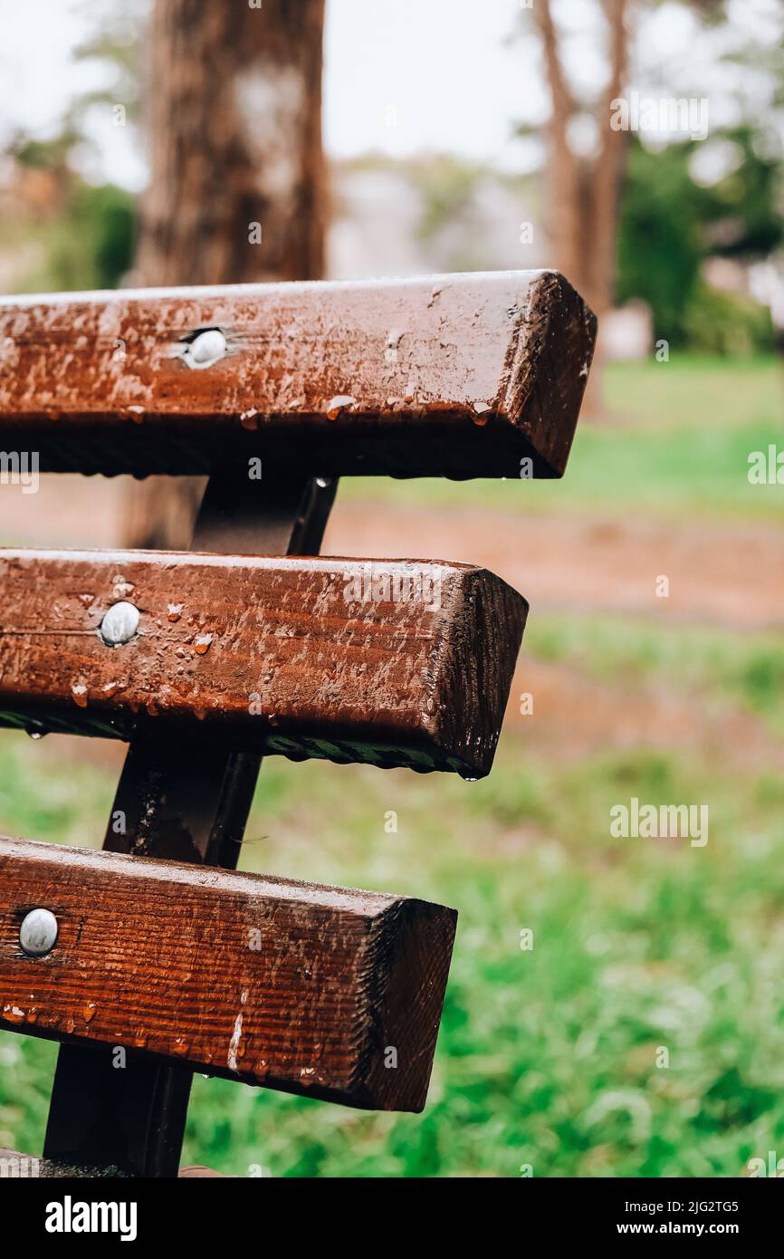 Wet bench in the park in the rain. Rainy weather. Wooden chair in the ...