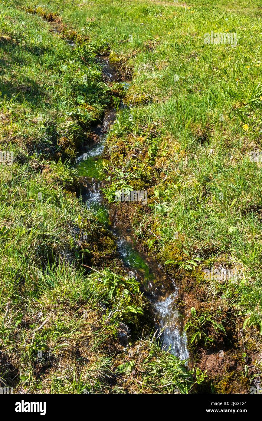 Stream on a grass meadow with running water Stock Photo - Alamy