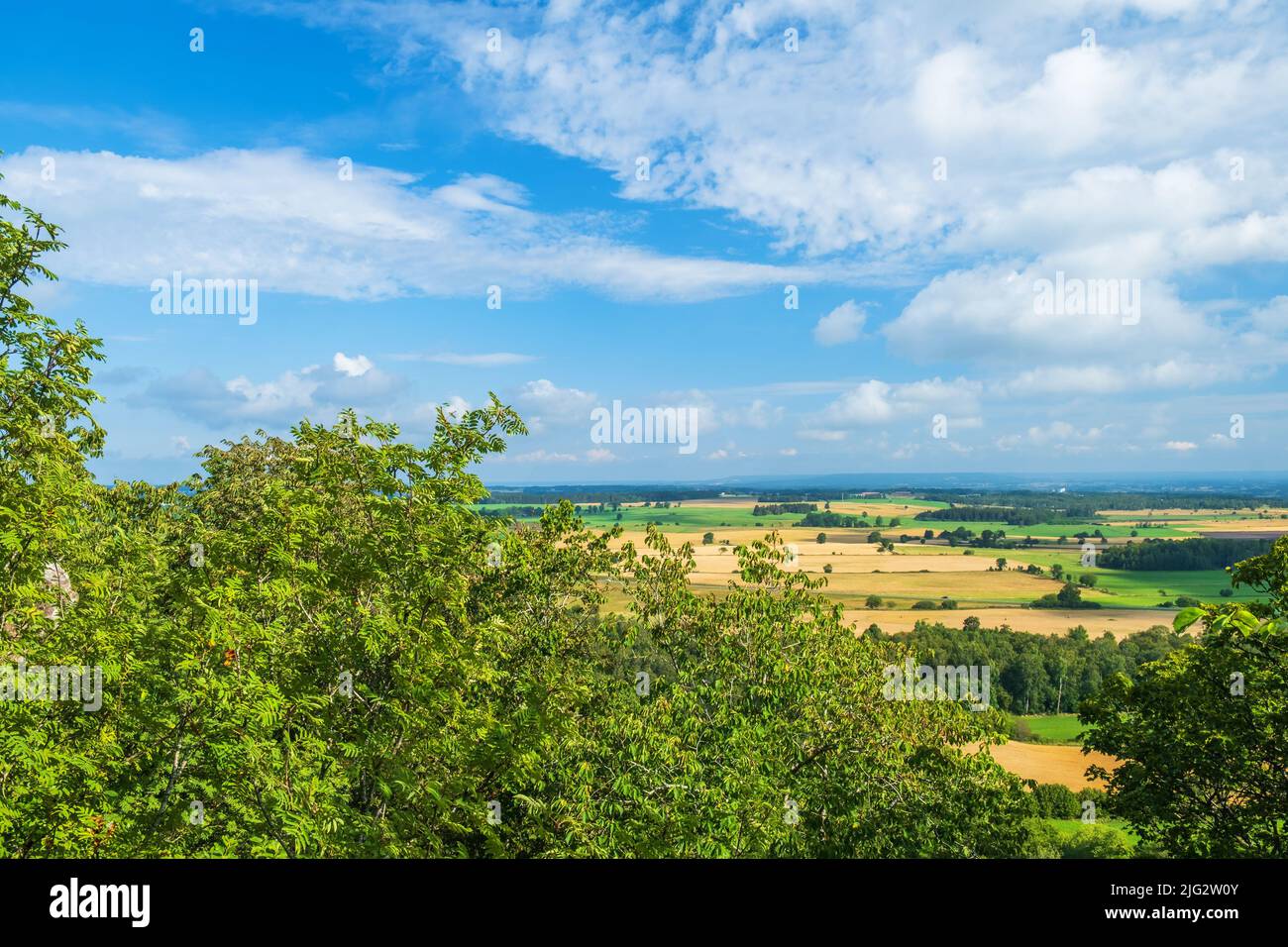 Aerial view lush treetops hi-res stock photography and images - Alamy