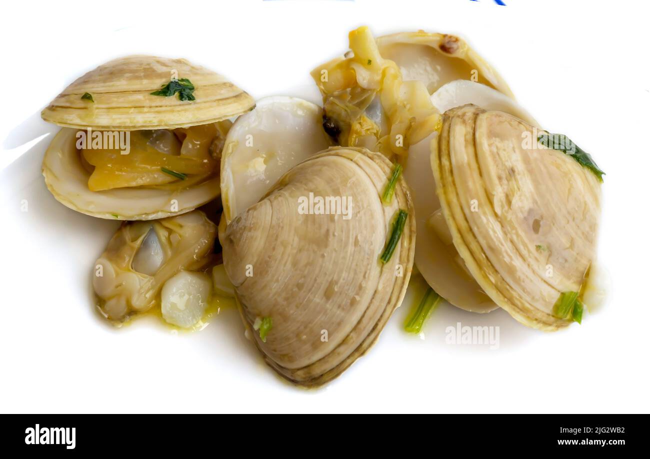 Cooking clams isolated on white Stock Photo - Alamy