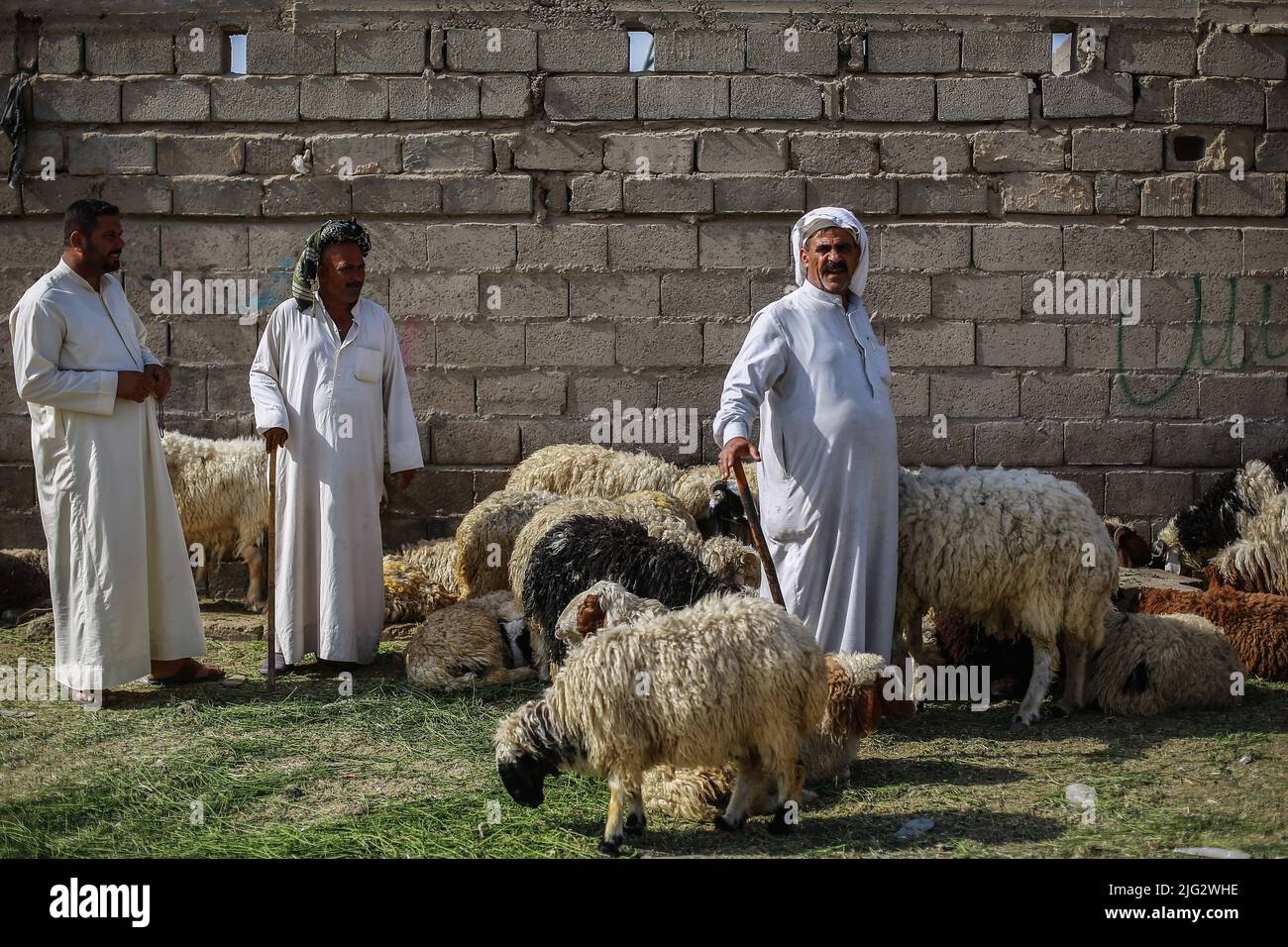 Al Shuala, Iraq. 07th July, 2022. A cattle traders stand next to their ...
