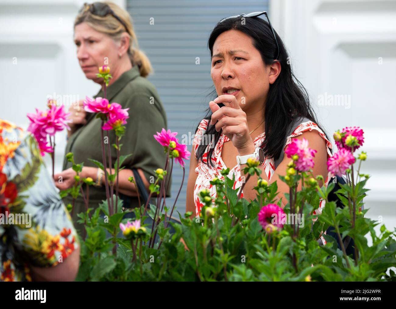 A lady talks to a gardener for advice at The RHS Hampton Court Palace ...