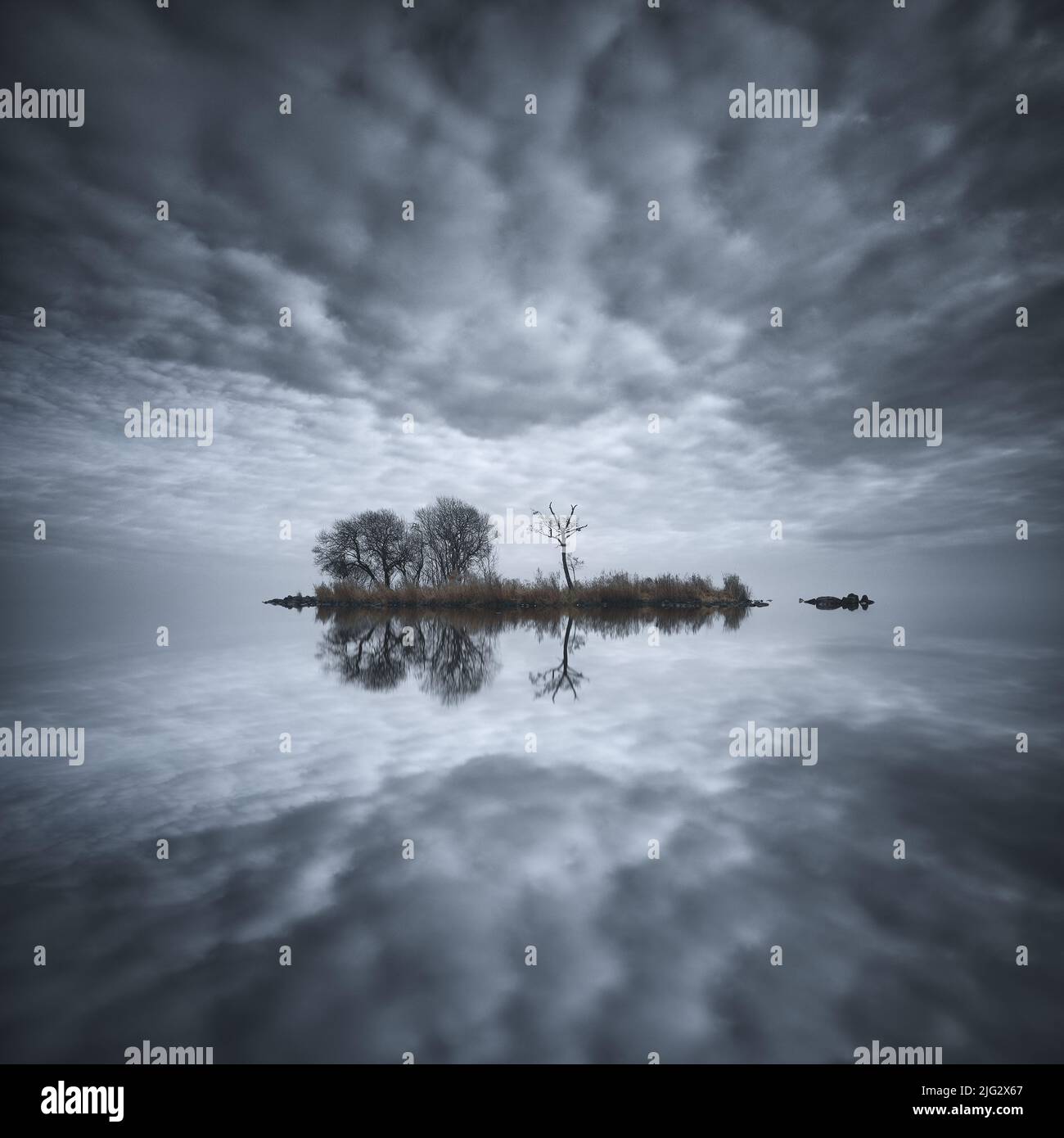 Island in lake, Lough Neagh, Northern Ireland, United Kingdom Stock ...