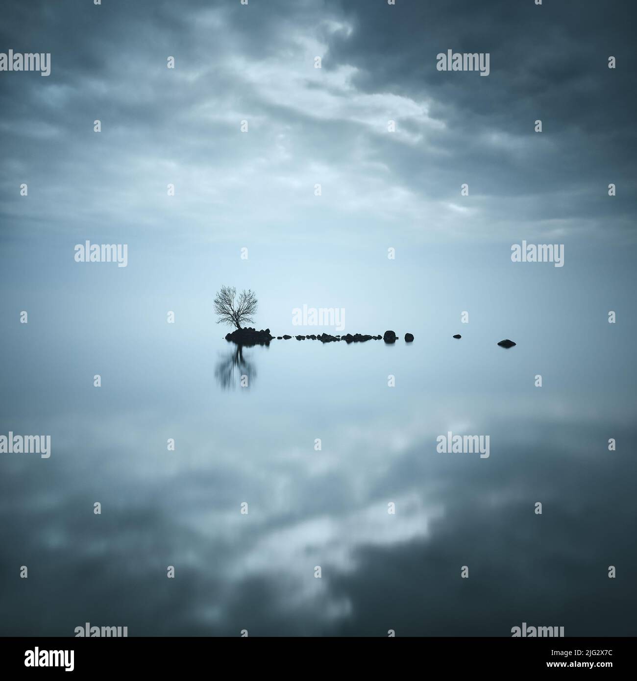 Island in lake, Lough Neagh, Northern Ireland, United Kingdom Stock ...