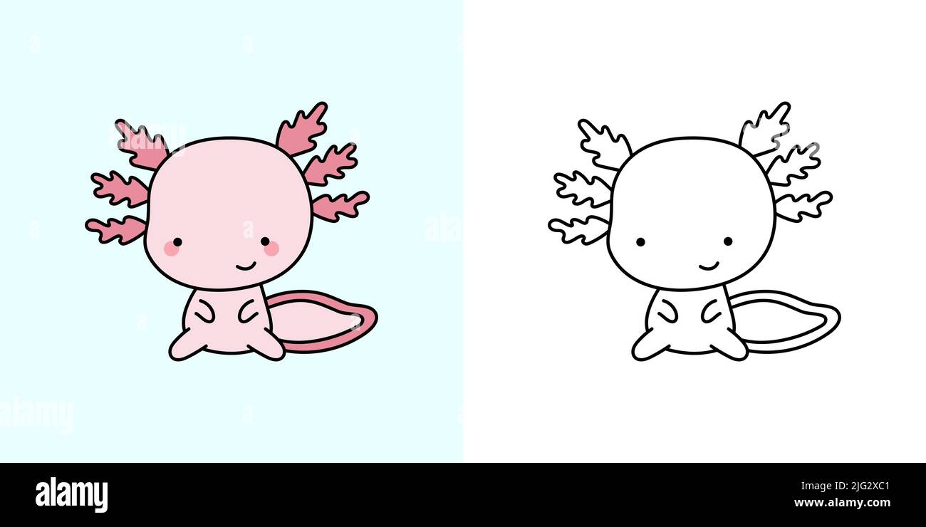Set Clipart Axolotl Coloring Page and Colored Illustration. Clip Art ...
