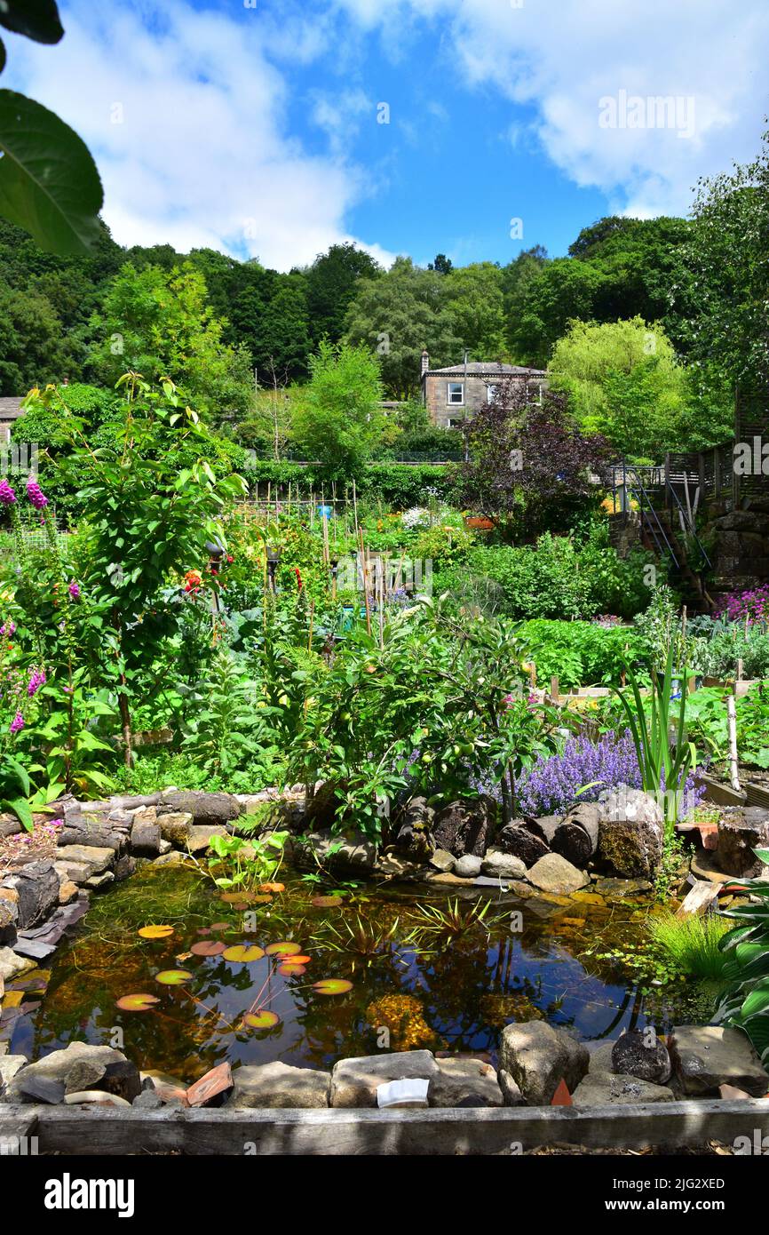 Allotment plot hi-res stock photography and images - Alamy
