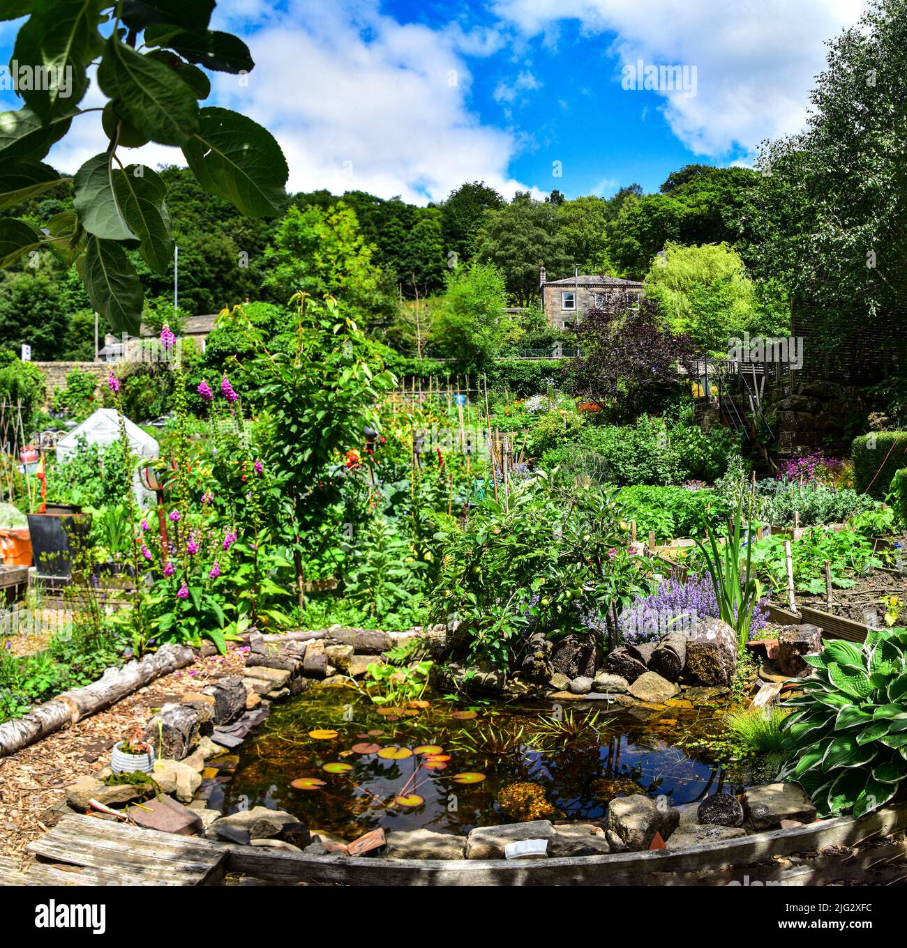 Nature plot hi-res stock photography and images - Alamy