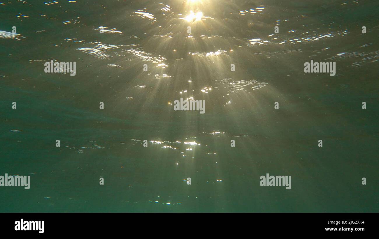 Sunrays penetrate through the surface of the water. Underwater light ...